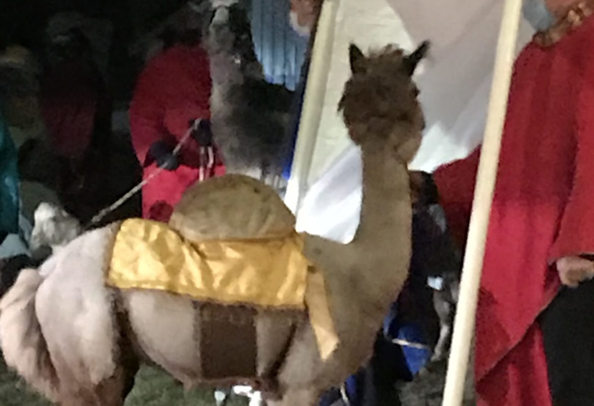 Cristo Rey Ranch – Cristo Rey Ranch