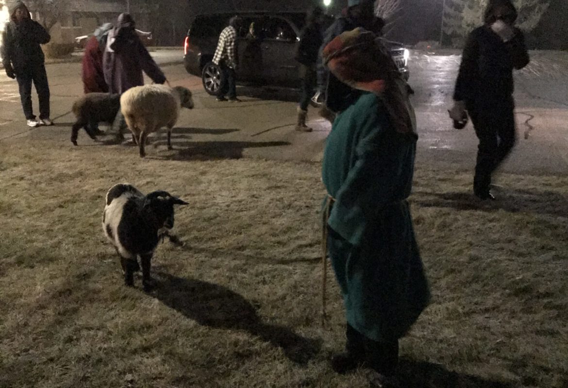 Cristo Rey Ranch – Cristo Rey Ranch